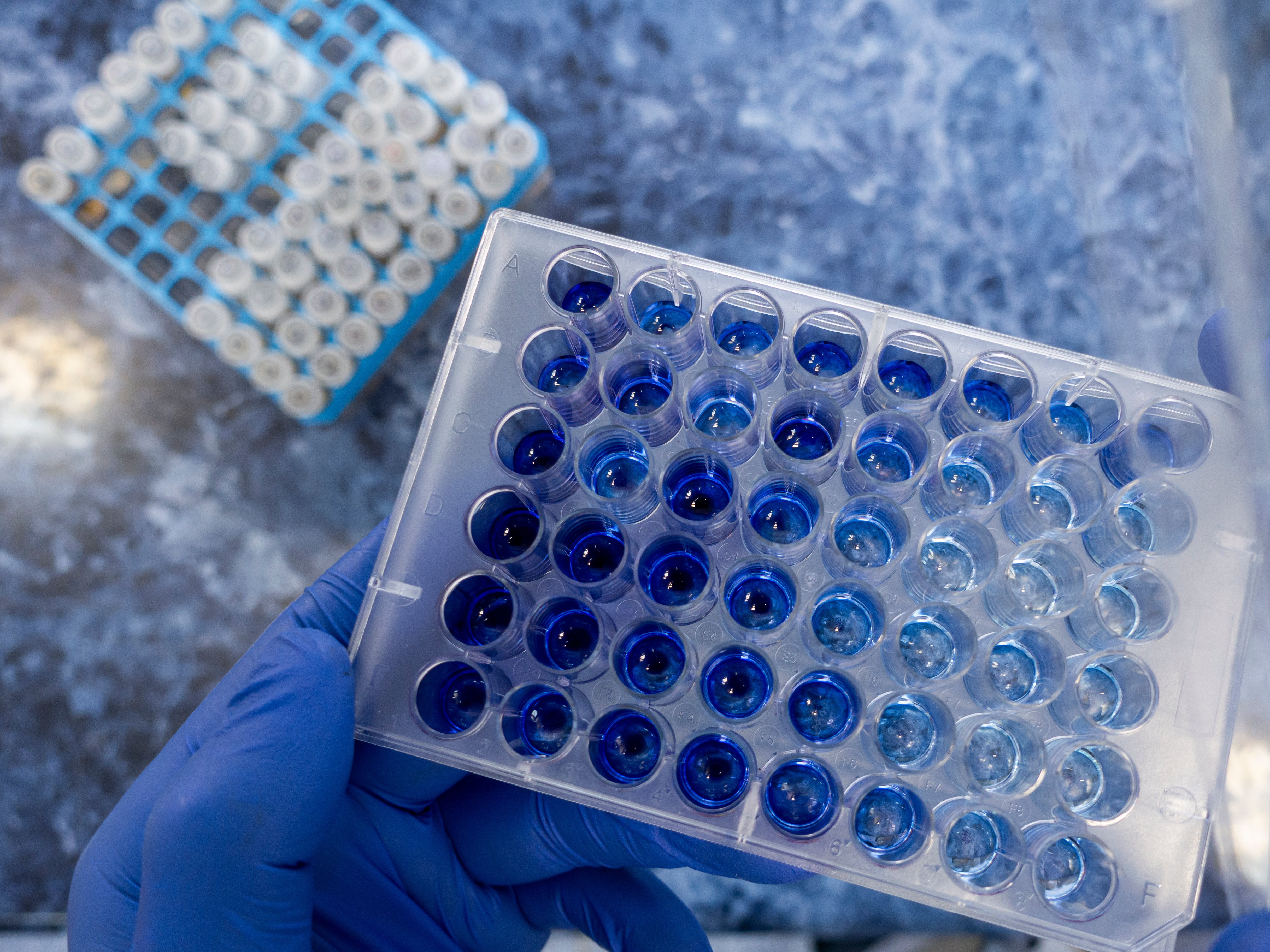How to Analyze ELISA Data: A Practical Guide for Scientists Getting Started