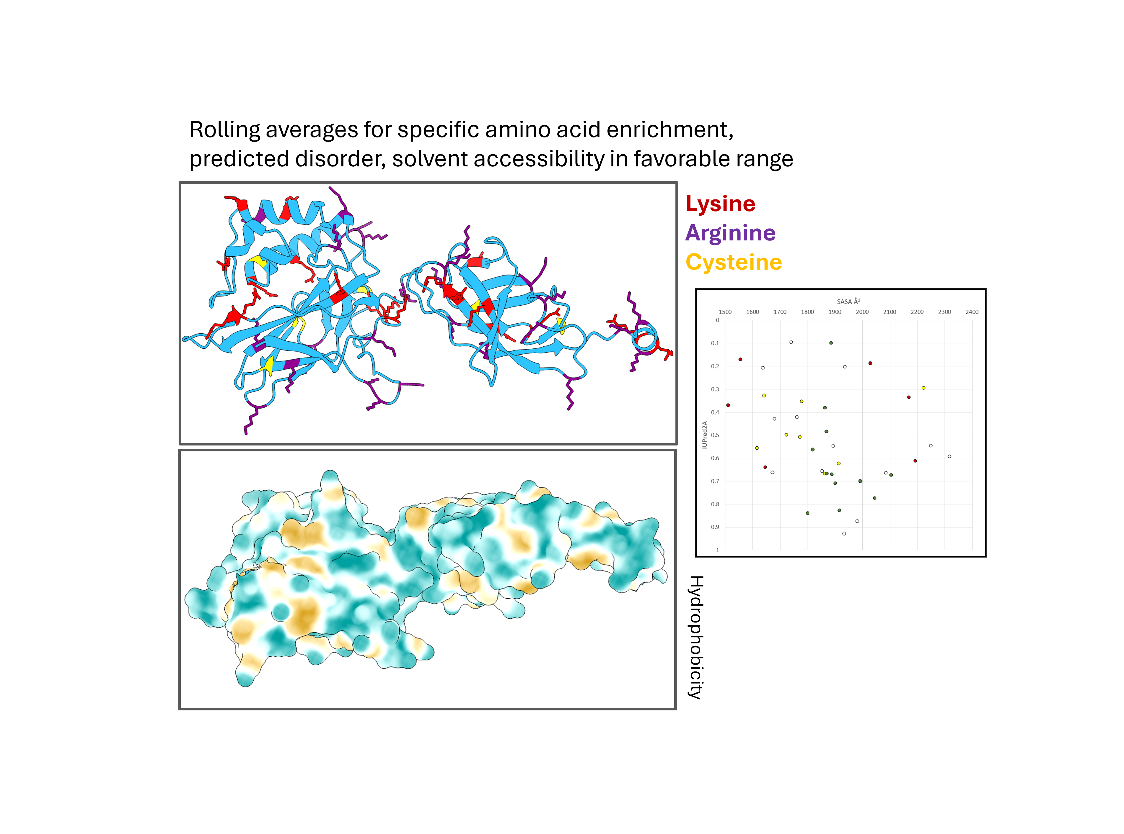 Developing High-Performance Antibodies Starts With Smarter Antigen Design
